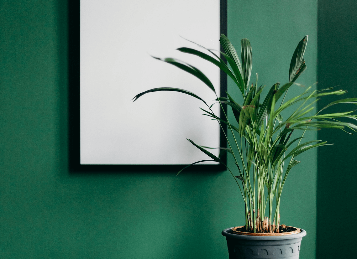 Wat is canvas? - Wanddecoraties.nl